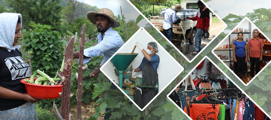 Home | Department of Samurdhi Development